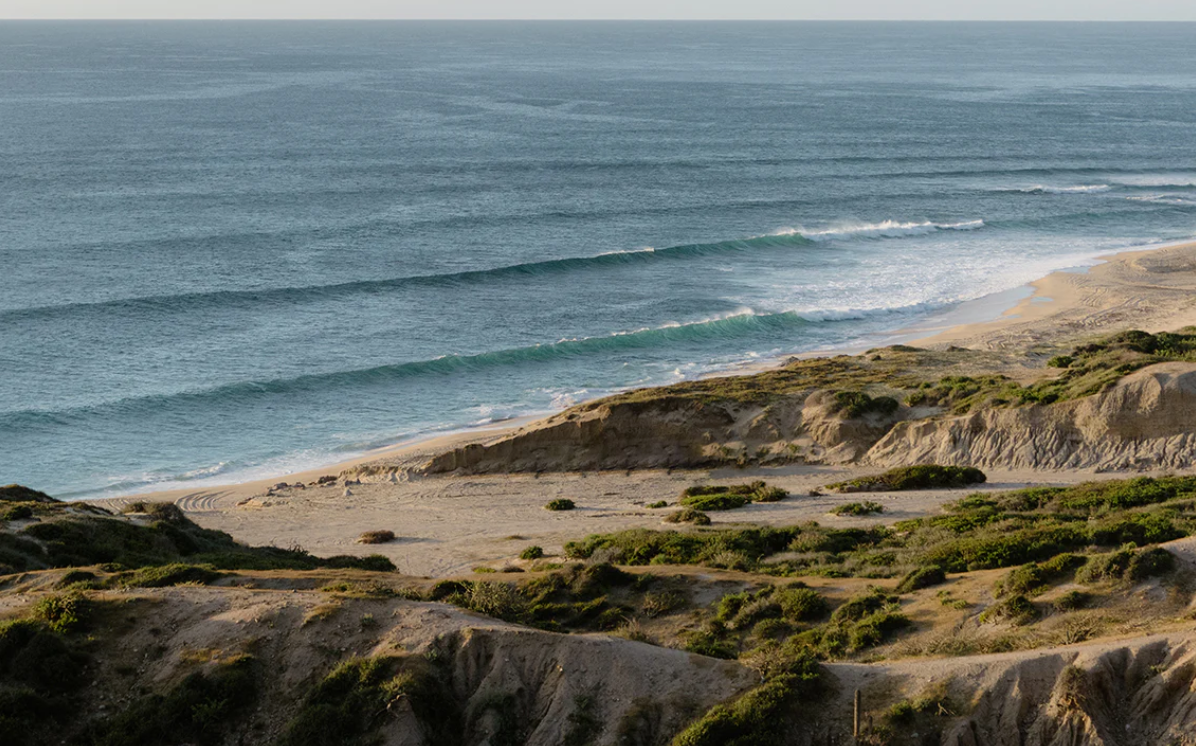 Nami Shoreline | Mirae Campbell Prints – Grateful Gift Shop